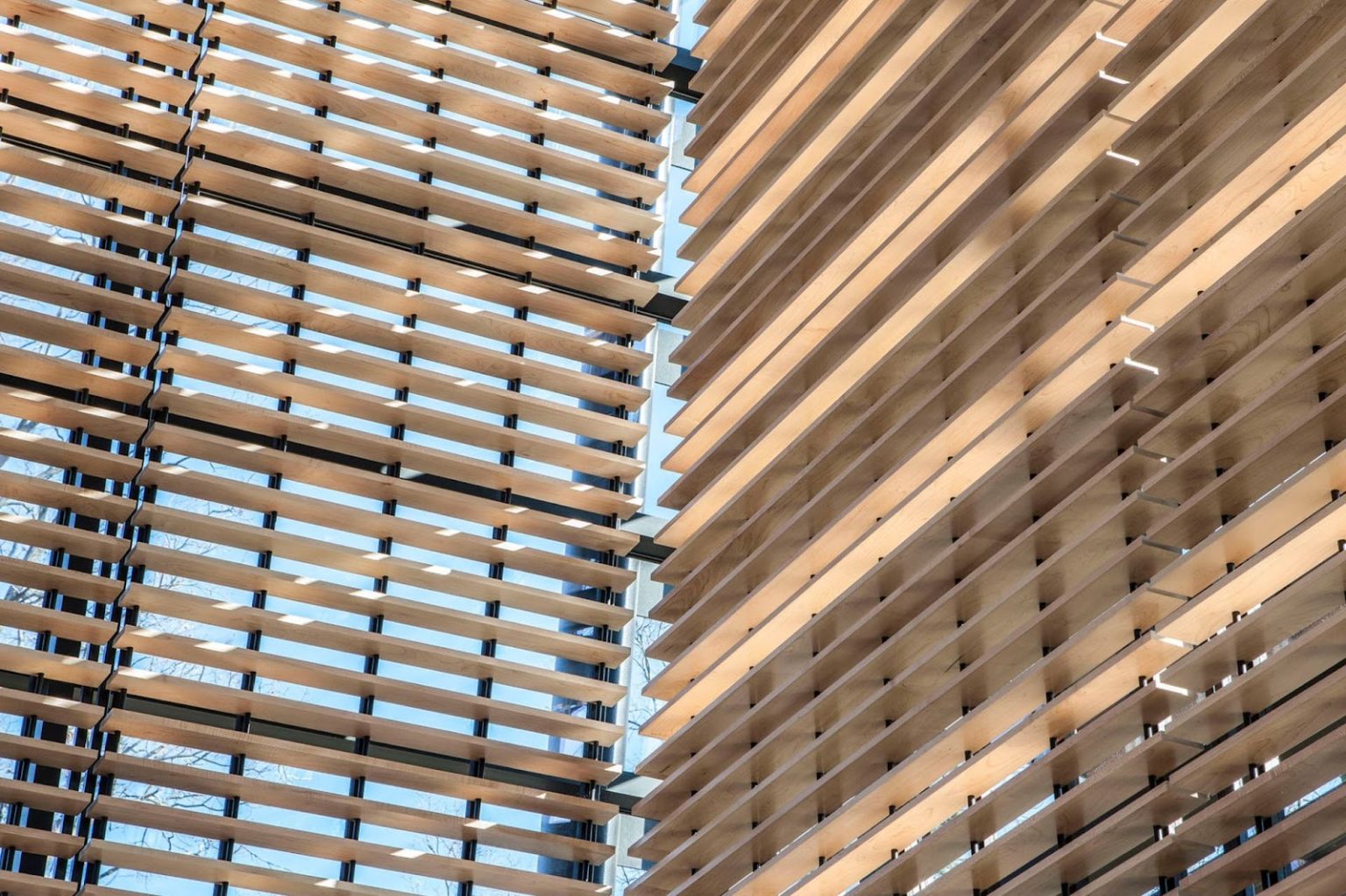 Sustainable Interior Design Tips – Rulon International