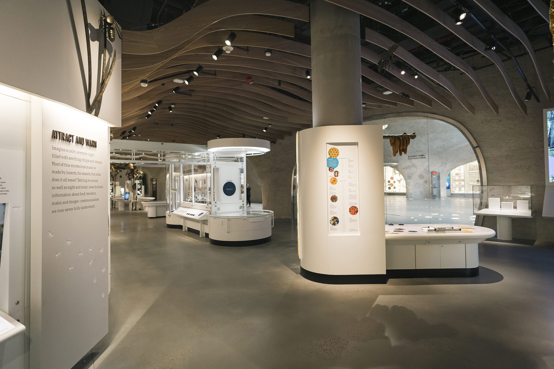 Richard Gilder Center for Science, Education, and Innovation – Rulon ...